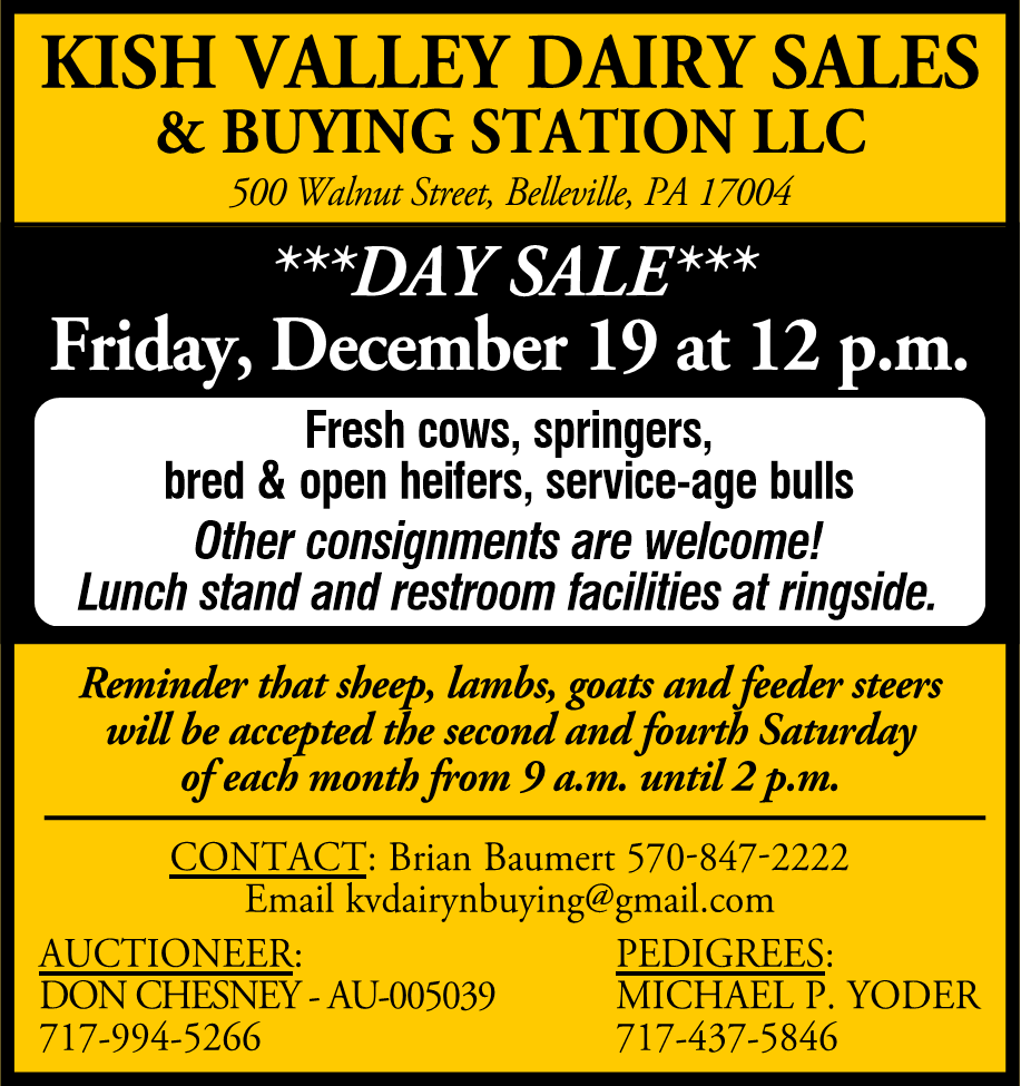 New ‘tool’ is a free, simple calculator for one consistent performance ...