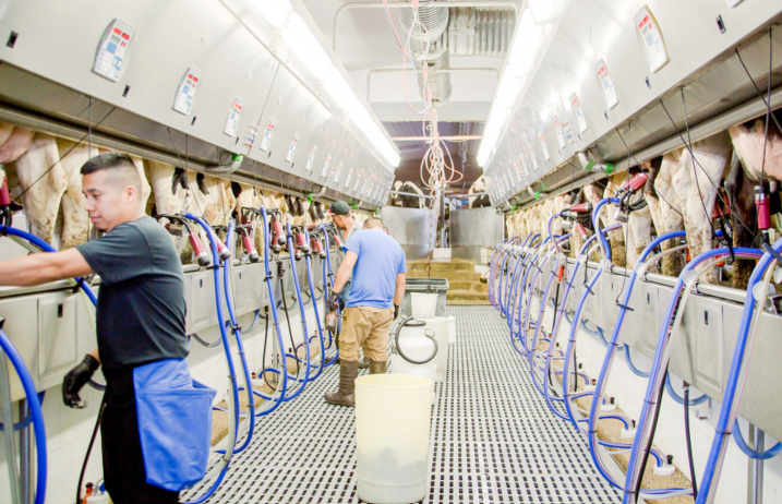 News Archives - Farmshine