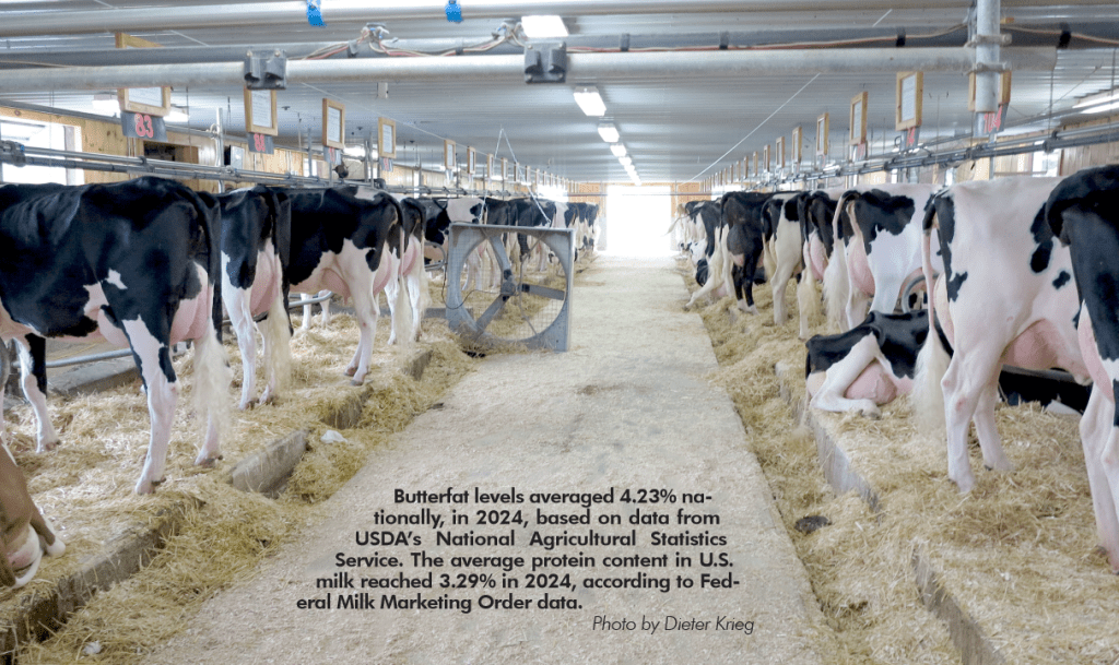 Historic gains in butterfat and protein content are linked to genetics ...