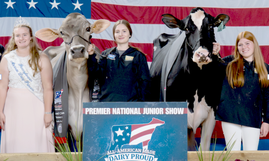 Farmshine - The dairy farm family magazine