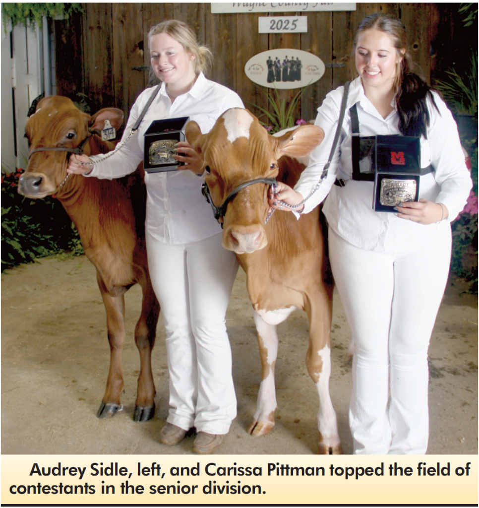 Winners of Wayne County (Ohio) Junior Fair Dairy Show selected - Farmshine