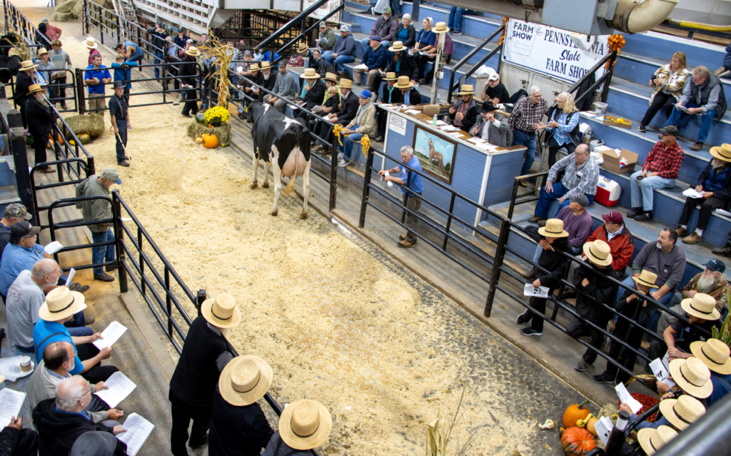 New Holland Dairy Show and Sale has a long tradition - Farmshine
