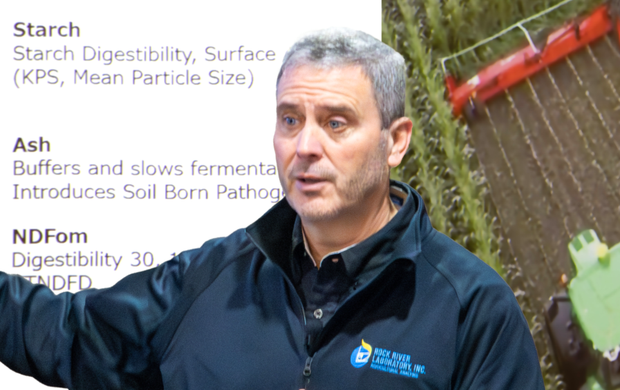 Testing revealed ration challenges in this year’s crops - Farmshine